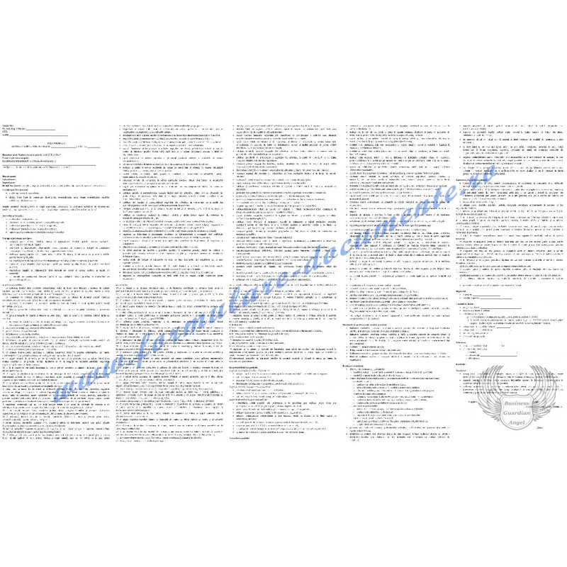 Fișa postului și Fișă de evaluare a performanțelor individuale pentru ...