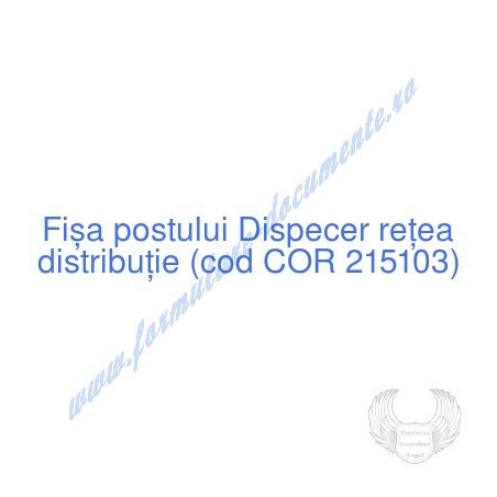 Fișa postului și Fișă de evaluare a performanțelor individuale pentru ...