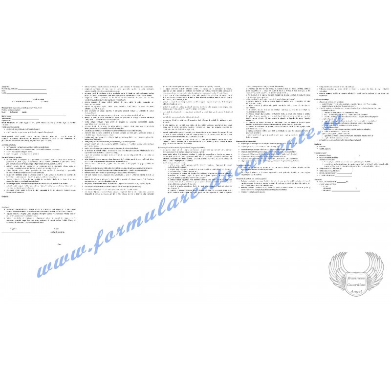 Fișa postului și Fișă de evaluare a performanțelor individuale pentru ...