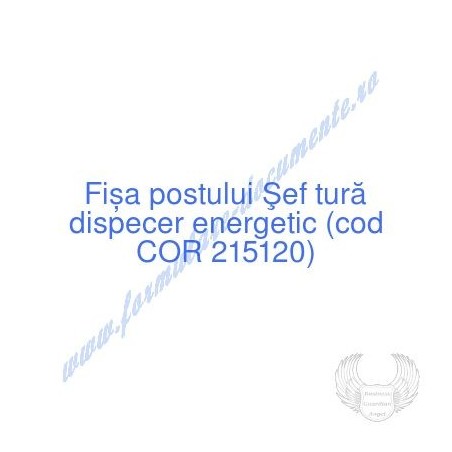 Fișa postului și Fișă de evaluare a performanțelor individuale pentru ...