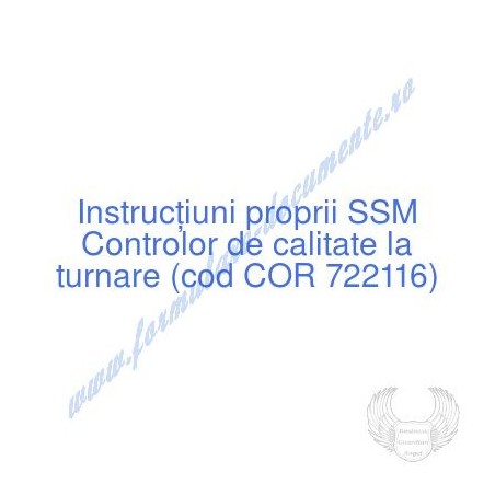 Instrucţiuni proprii de securitate și sănătate în muncă pentru ...