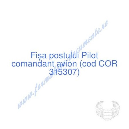 Fișa postului și Fișă de evaluare a performanțelor individuale pentru ...