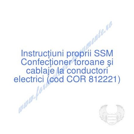 Instrucţiuni proprii de securitate și sănătate în muncă pentru ...