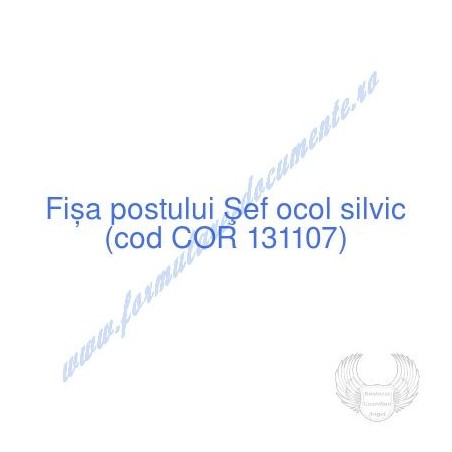 Fișa postului și Fișă de evaluare a performanțelor individuale pentru ...