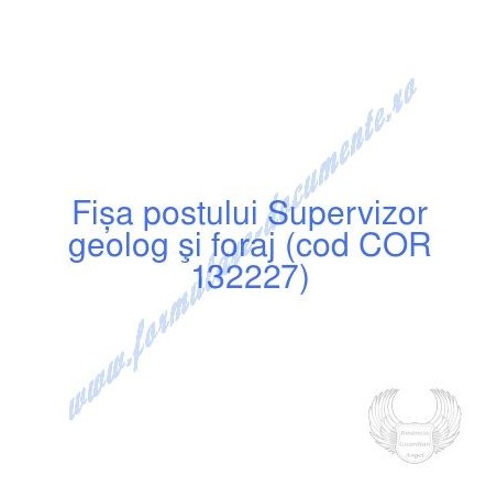 Fișa postului și Fișă de evaluare a performanțelor individuale pentru ...