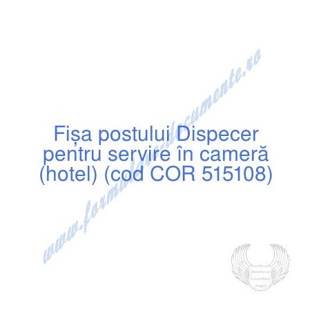 Fișa postului și Fișă de evaluare a performanțelor individuale pentru ...