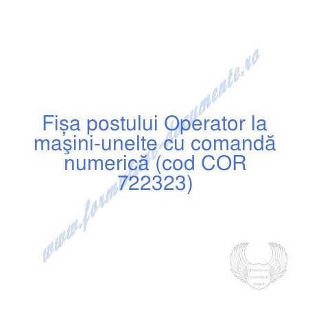 Fișa postului și Fișă de evaluare a performanțelor individuale pentru ...