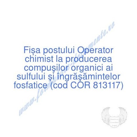 Fișa postului și Fișă de evaluare a performanțelor individuale pentru ...