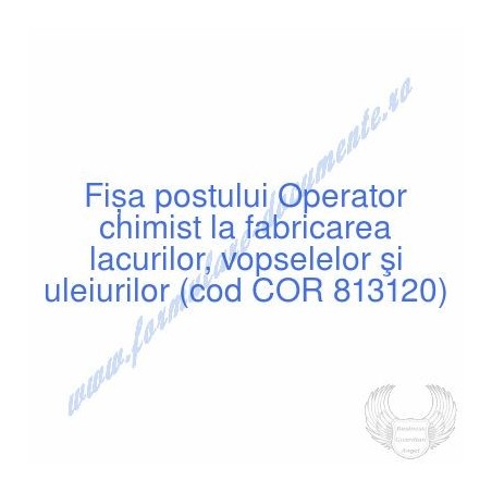 Fișa postului și Fișă de evaluare a performanțelor individuale pentru ...