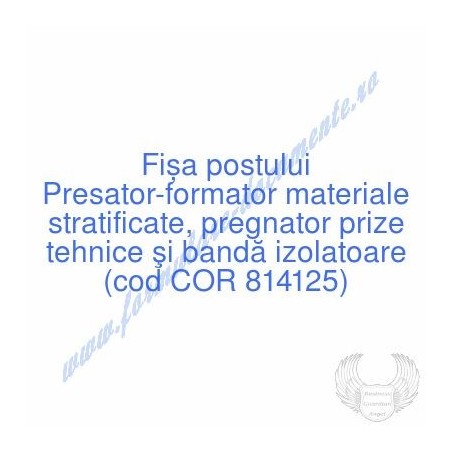 Fișa postului și Fișă de evaluare a performanțelor individuale pentru ...