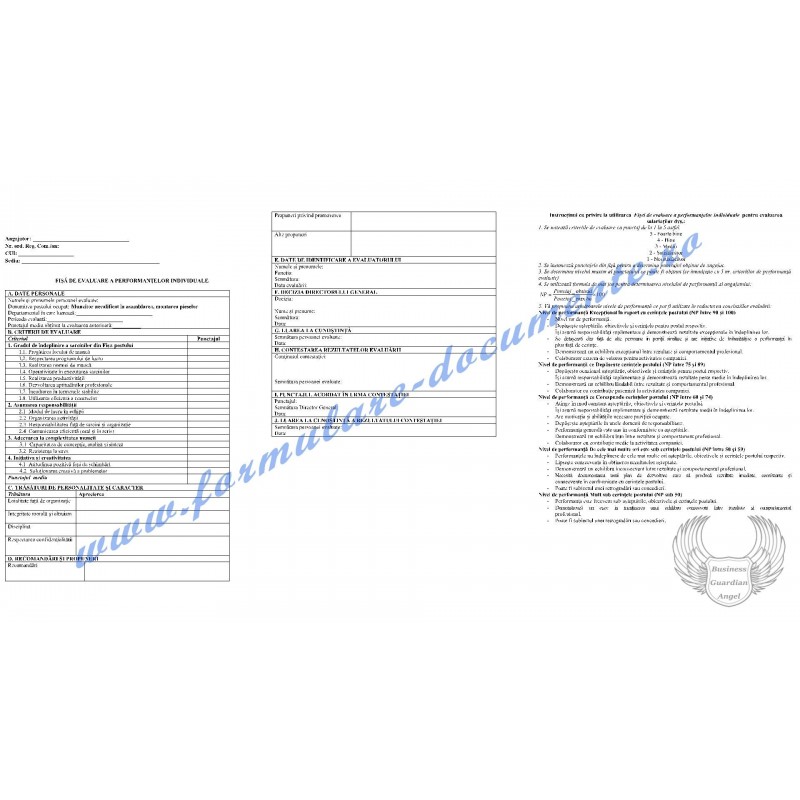 Fișa postului și Fișă de evaluare a performanțelor individuale pentru ...