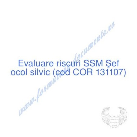 Evaluarea riscurilor de accidentare și îmbolnăvire profesională pentru ...