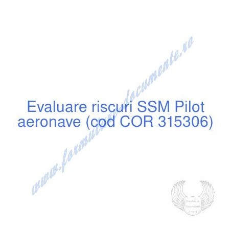 Evaluarea riscurilor de accidentare și îmbolnăvire profesională pentru ...