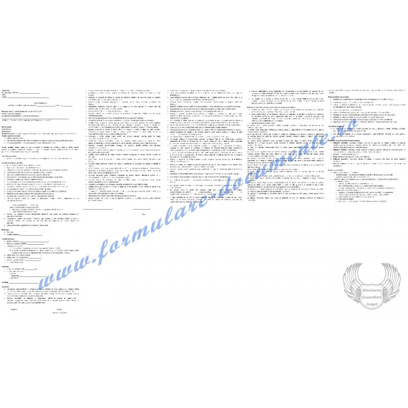 Fișa postului și Fișă de evaluare a performanțelor individuale pentru ...