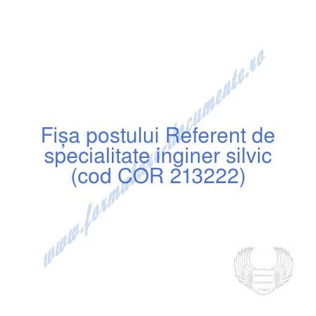 Fișa postului și Fișă de evaluare a performanțelor individuale pentru ...