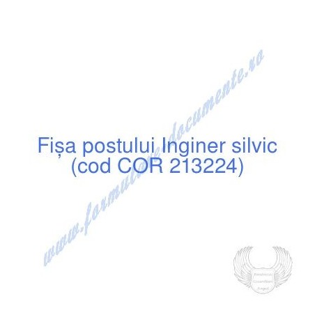 Fișa postului și Fișă de evaluare a performanțelor individuale pentru ...